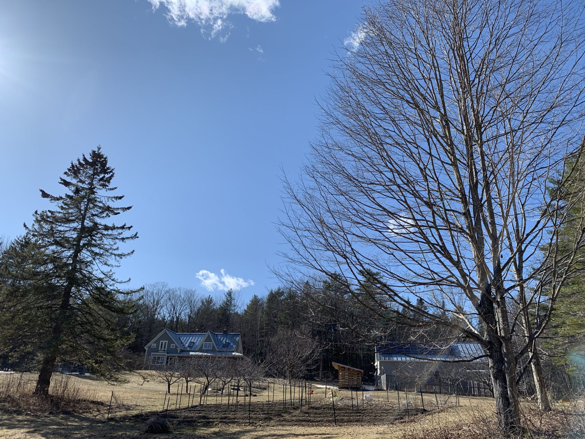 How to Survive Inflation and Make it Work for You - Frugalwoods