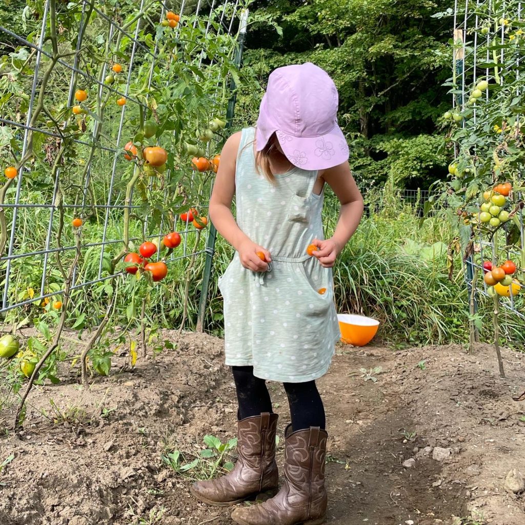 We Spent $10k on Groceries Last Year: Here’s What We Ate - Frugalwoods