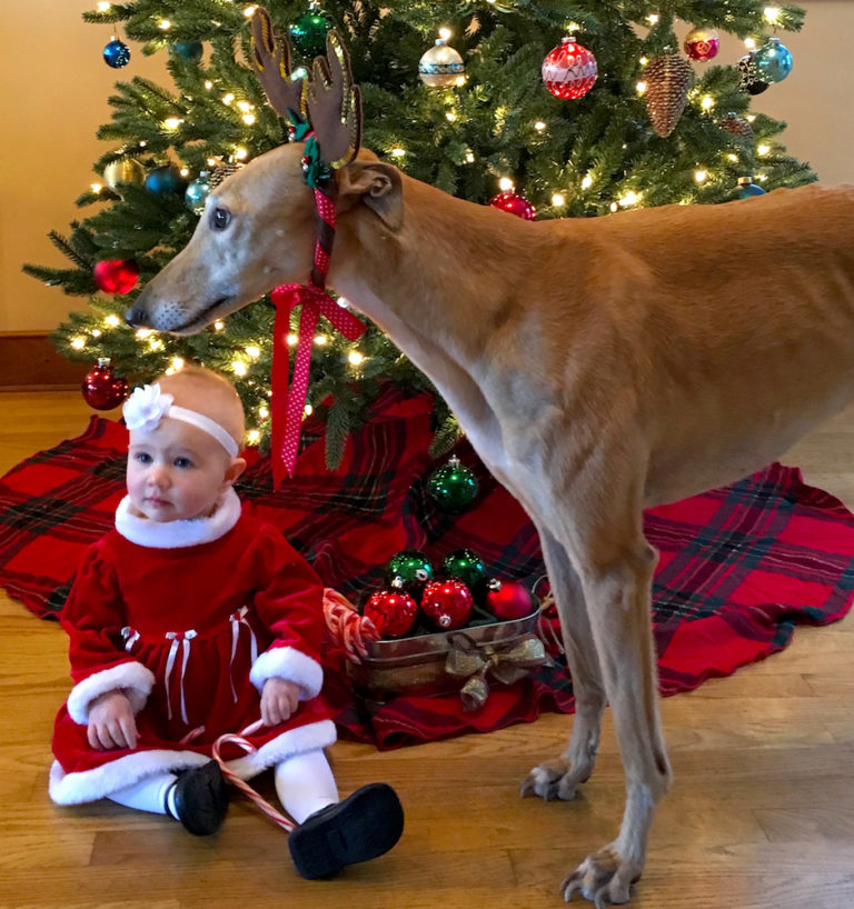 Reader Suggestions Of Frugal, Fun, Inexpensive, and Festive Holiday ...